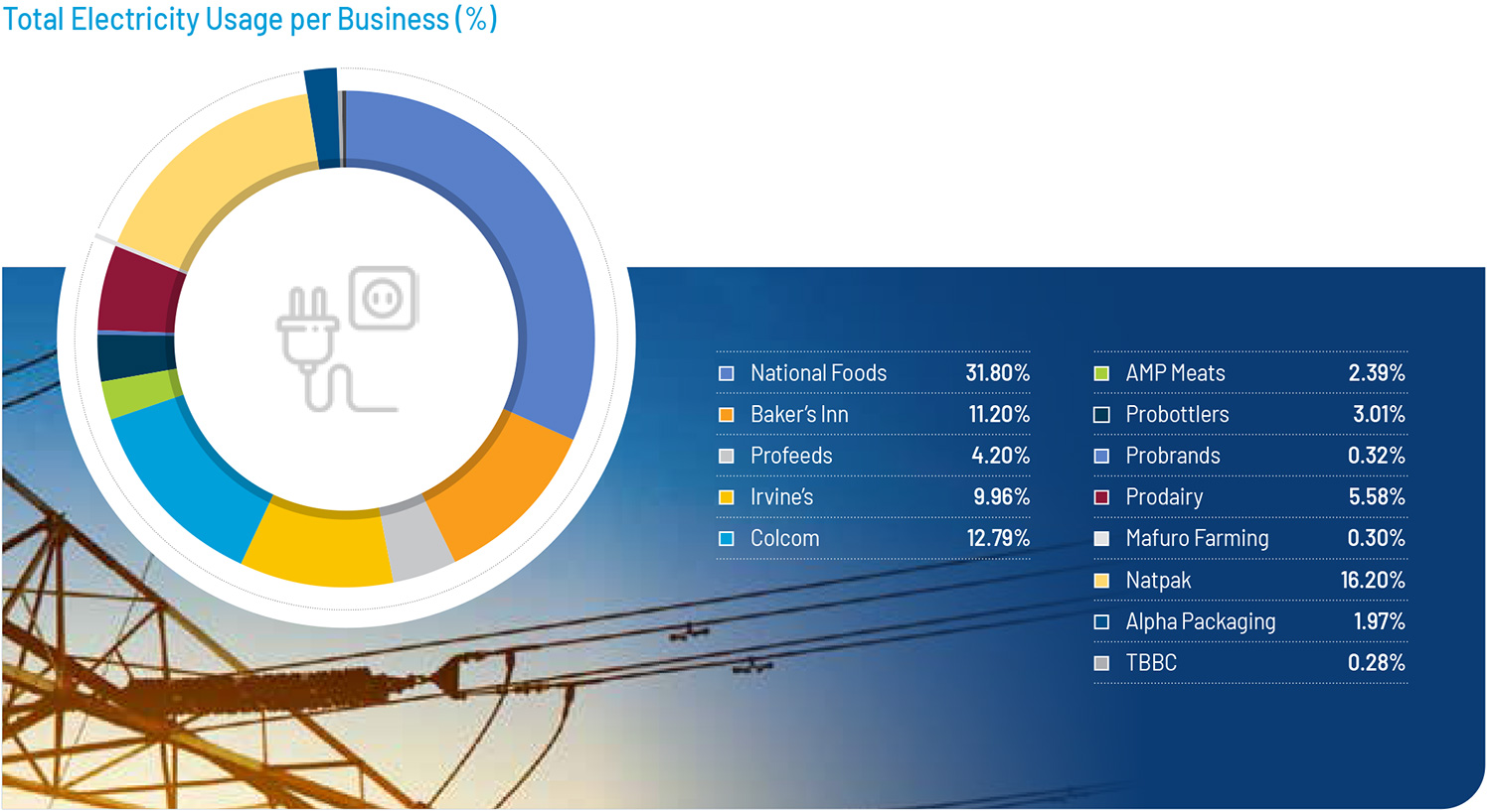 The Environment – Innscor Africa Limited