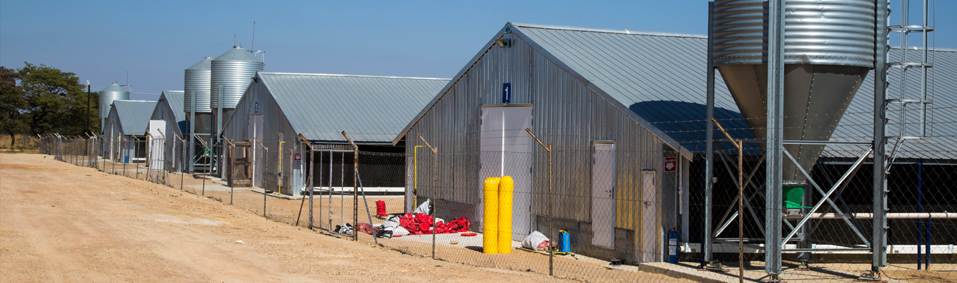 Innscor Africa Limited – Manufacturer of consumer staple and durable ...